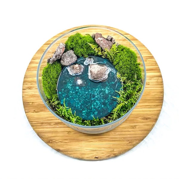 Fairy Garden Pond - Etsy