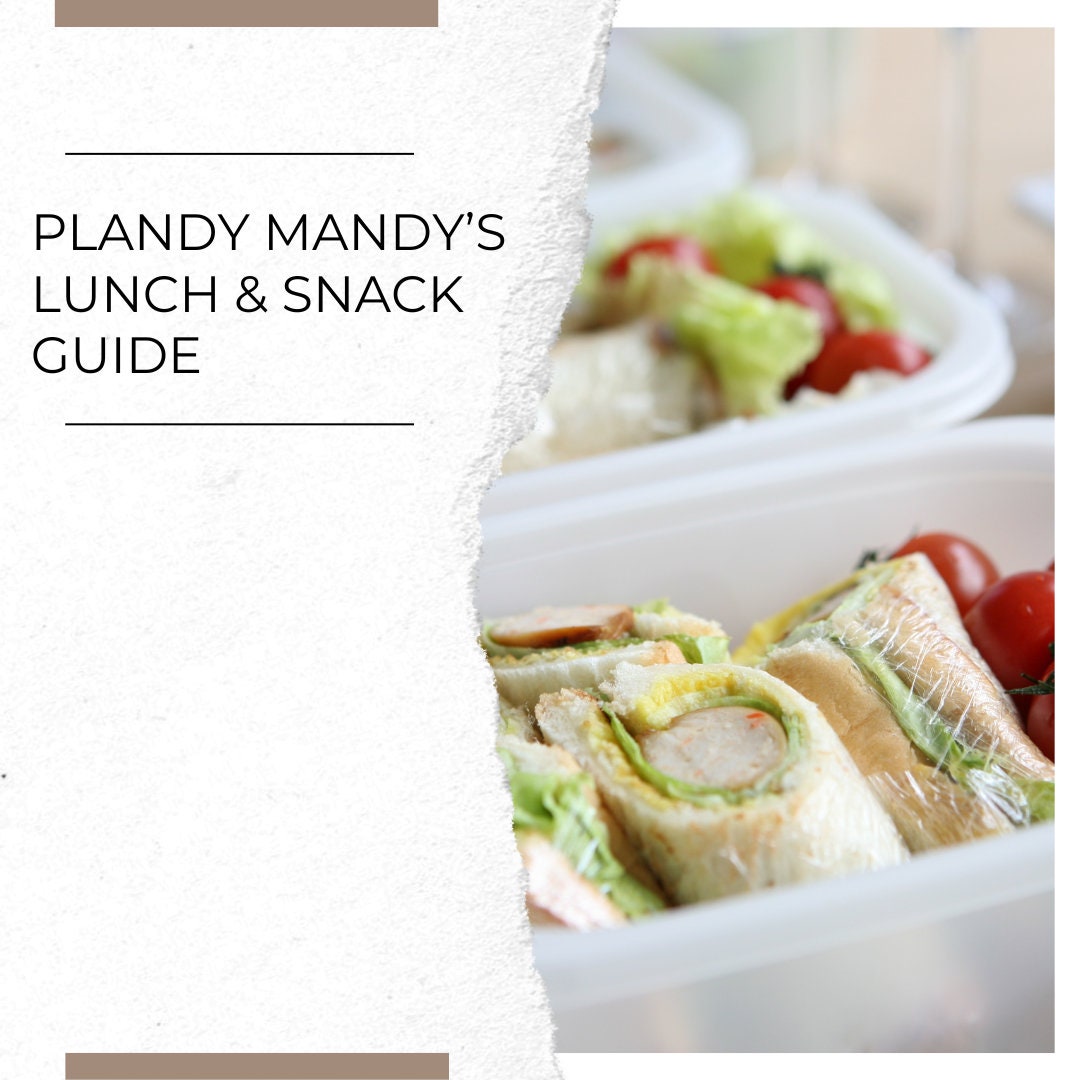 Lunch & Snack Guide - Etsy