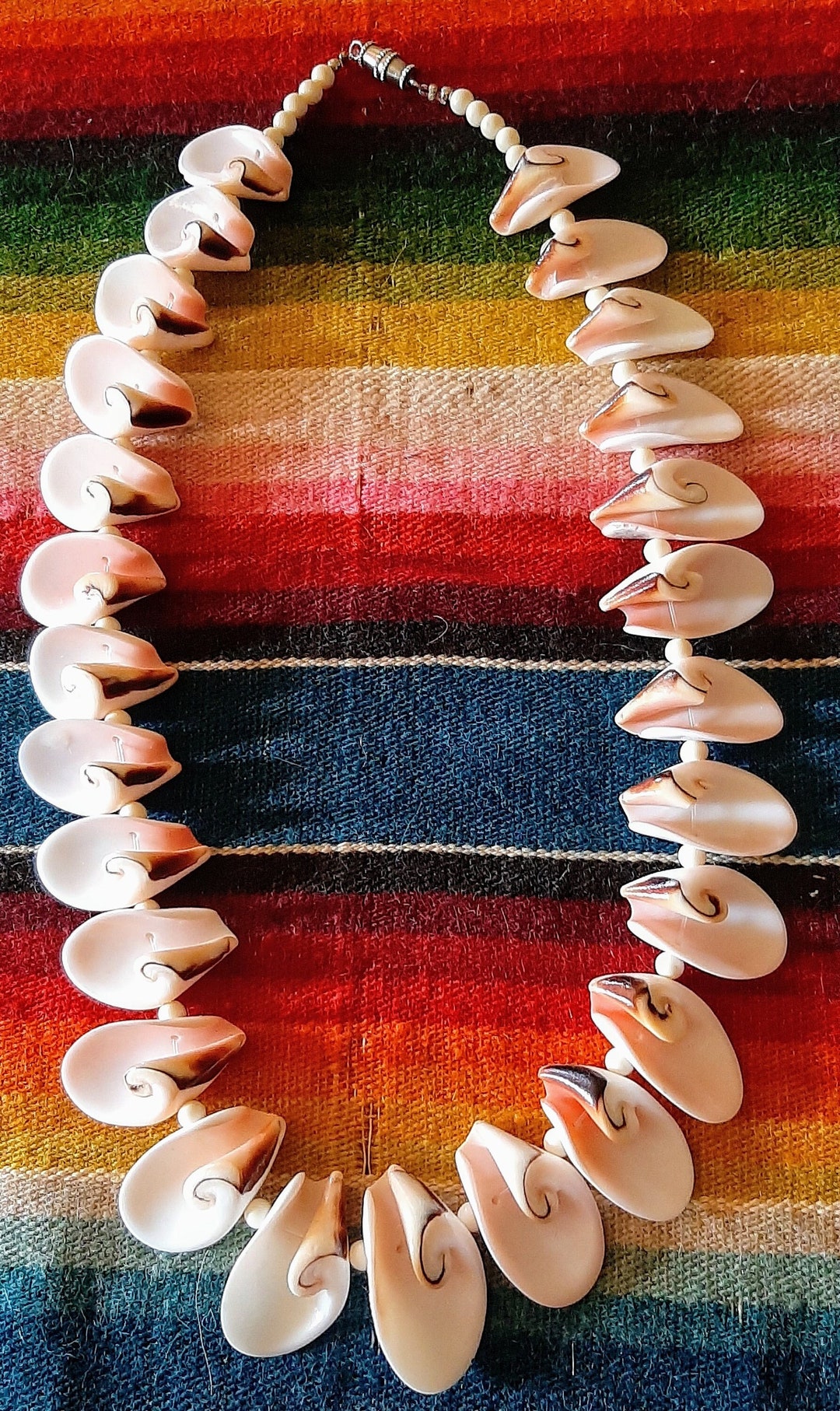 Beautiful Conch Shell Necklace in Excellent Condition. 18 Inches Long ...