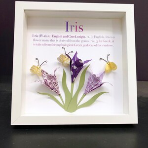 Baby Girl Frame With Name Origin and Meaning Custom Paper Art - Etsy Canada