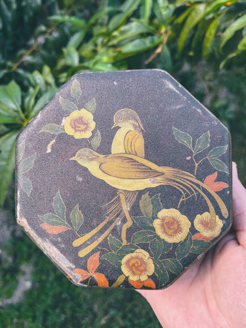 Beautiful Vintage Small Metal Box With Painted Birds - Etsy