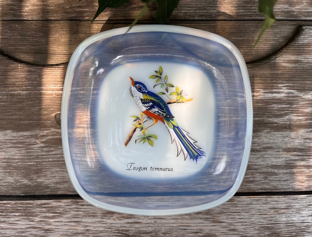 Vintage Opalex / Opaline Glass Gamaches (somme) Trogon Temnurus Bowl ...