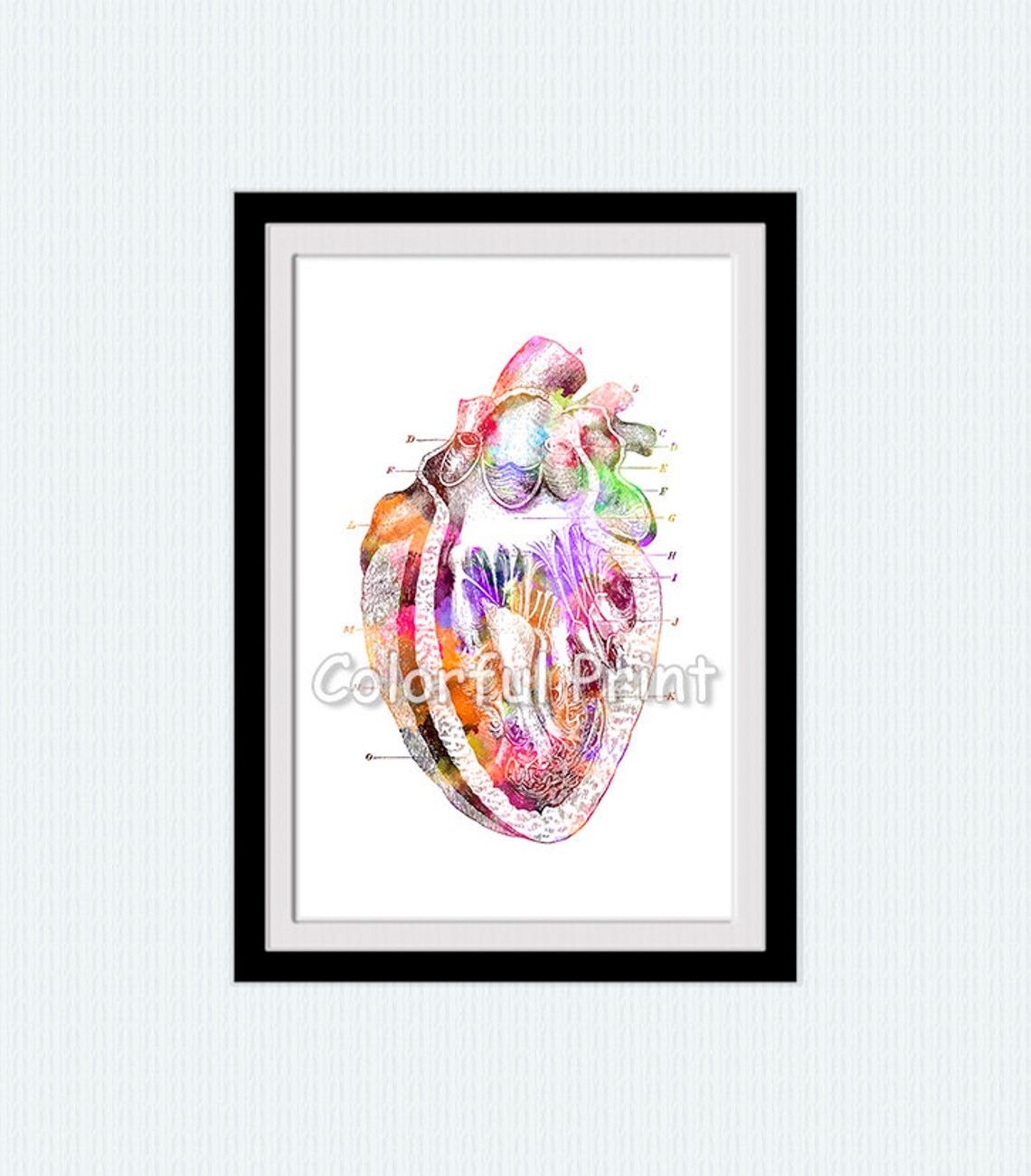 Human Heart Poster Heart Anatomy Print Heart Watercolor | Etsy