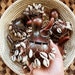 Small Shekere Cowrie Shell Rattle //jabara, Axatse, Netted Cowrie Shell ...