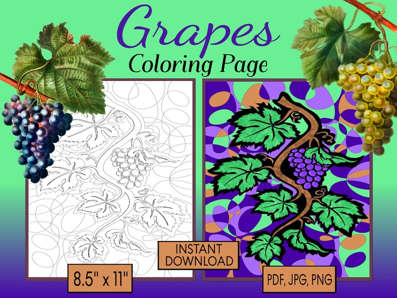 GRAPES Coloring Page, Pdf Jpg Png, GRAPEVINE SWIRLS, 8.5 X 11, Digital ...