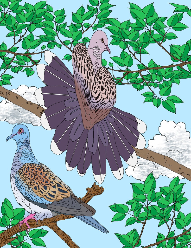 Dove Bird Coloring Page- Printable Instant Download! PDF, JPG, PNG ...