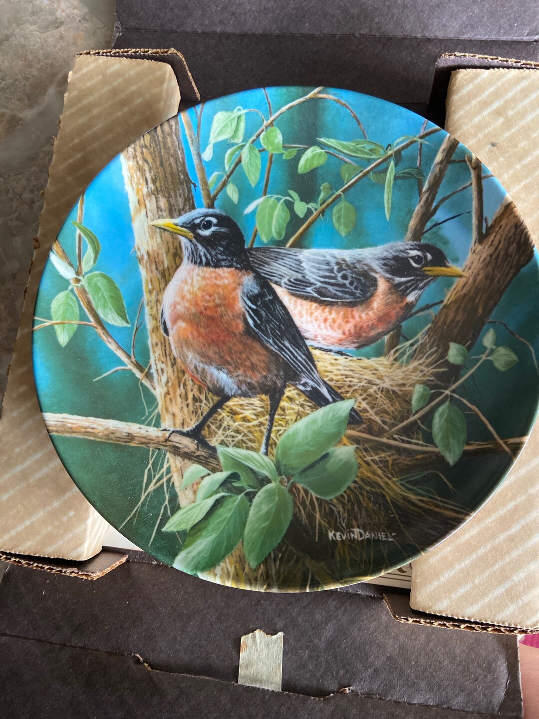 Birds of Your Garden the Robin by Artist Kevin Daniel Sponsorship ...