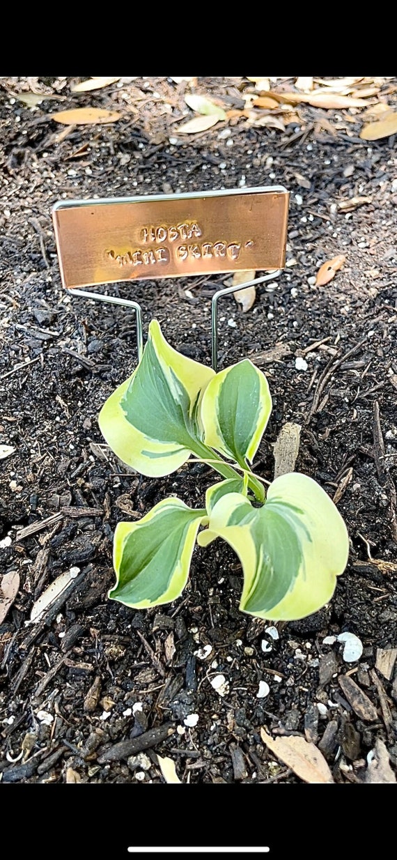 Custom Copper Plant Tags Hand-stamped Metal Plant Labels - Etsy