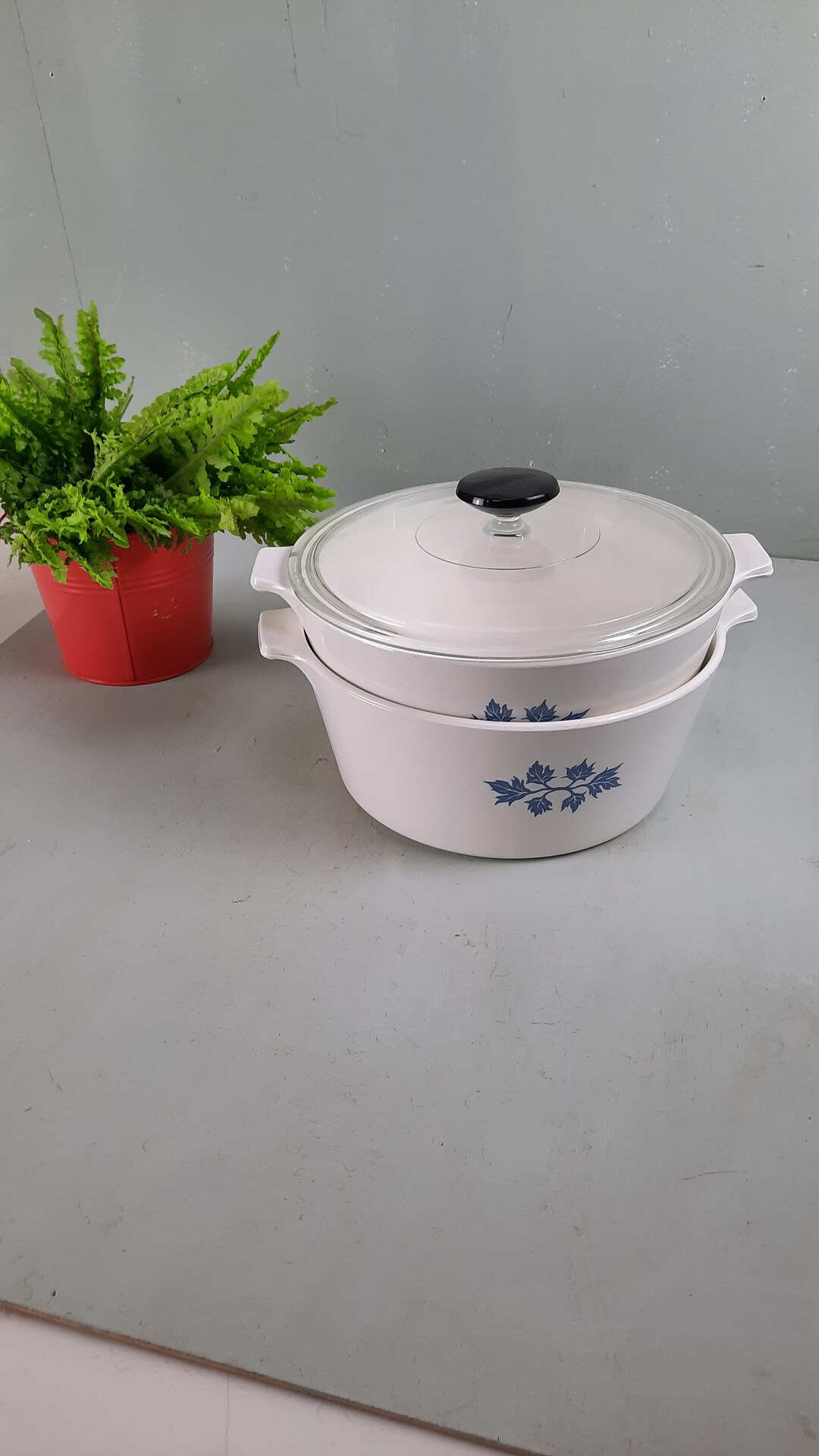 Set of 2 Pyroflam Oven Dishes With 1 Lid Vintage - Etsy