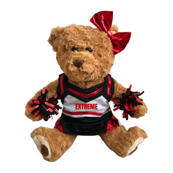 Custom Cheer Teddy Bears - Etsy