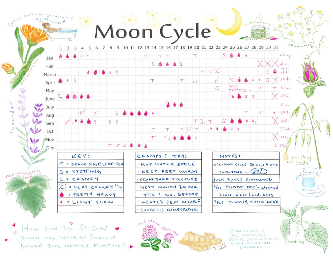 Womens Menstrual Cycle Chart, Blank Herbal Chart, moon Cycle, moon Time ...