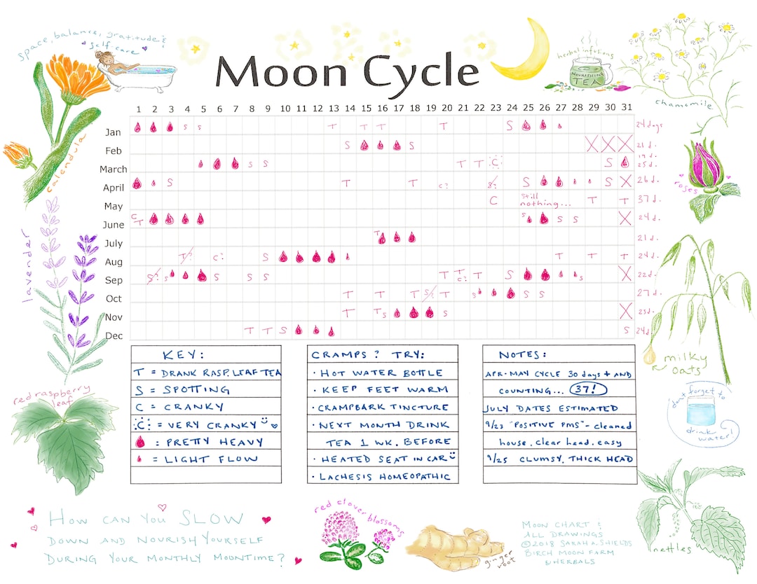 Blank Herbal Chart on Cardstock Paper, Women's Menstrual, Moon Cycle ...