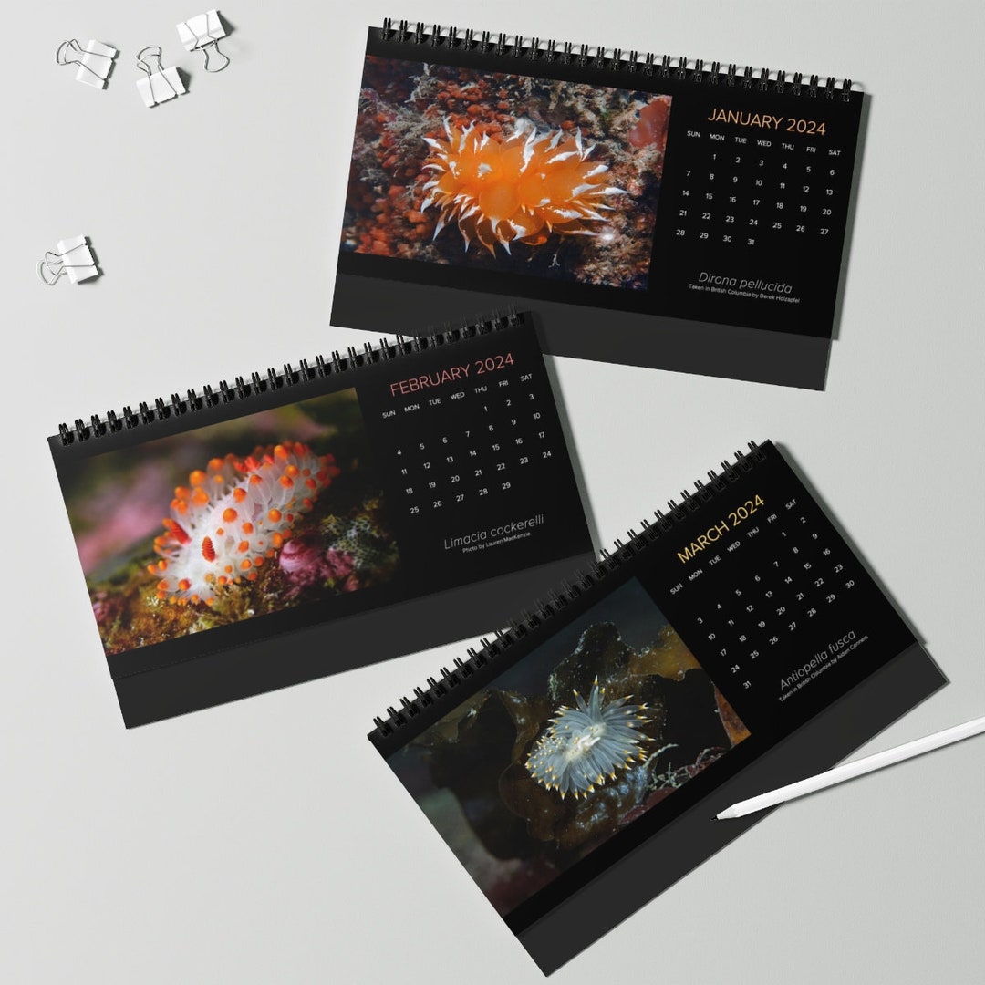 XXX Pacific Northwest NUDI CALENDAR July 2023 to June 2024 - Etsy