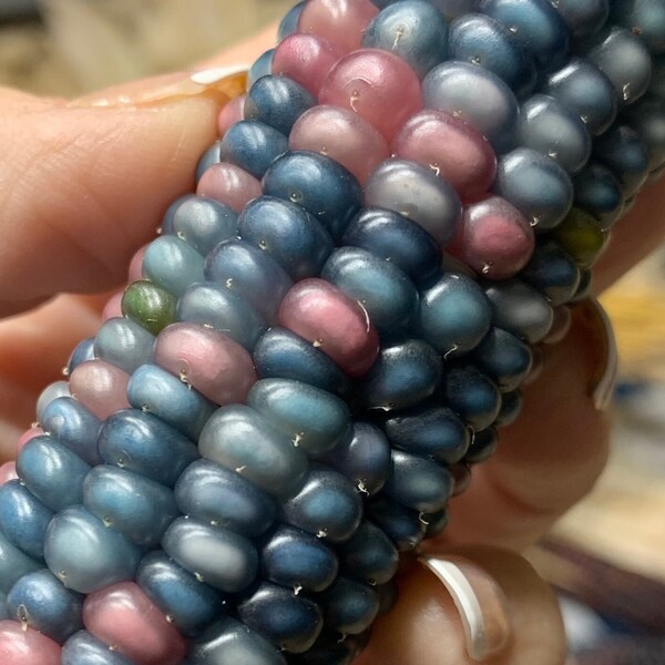 Glass Gem Corn - Etsy