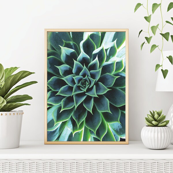 Succulent Wall Art - Etsy