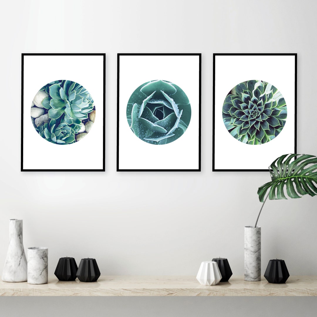 Instant Download of a Set of 3 Botanical Posters Printable Succulents ...