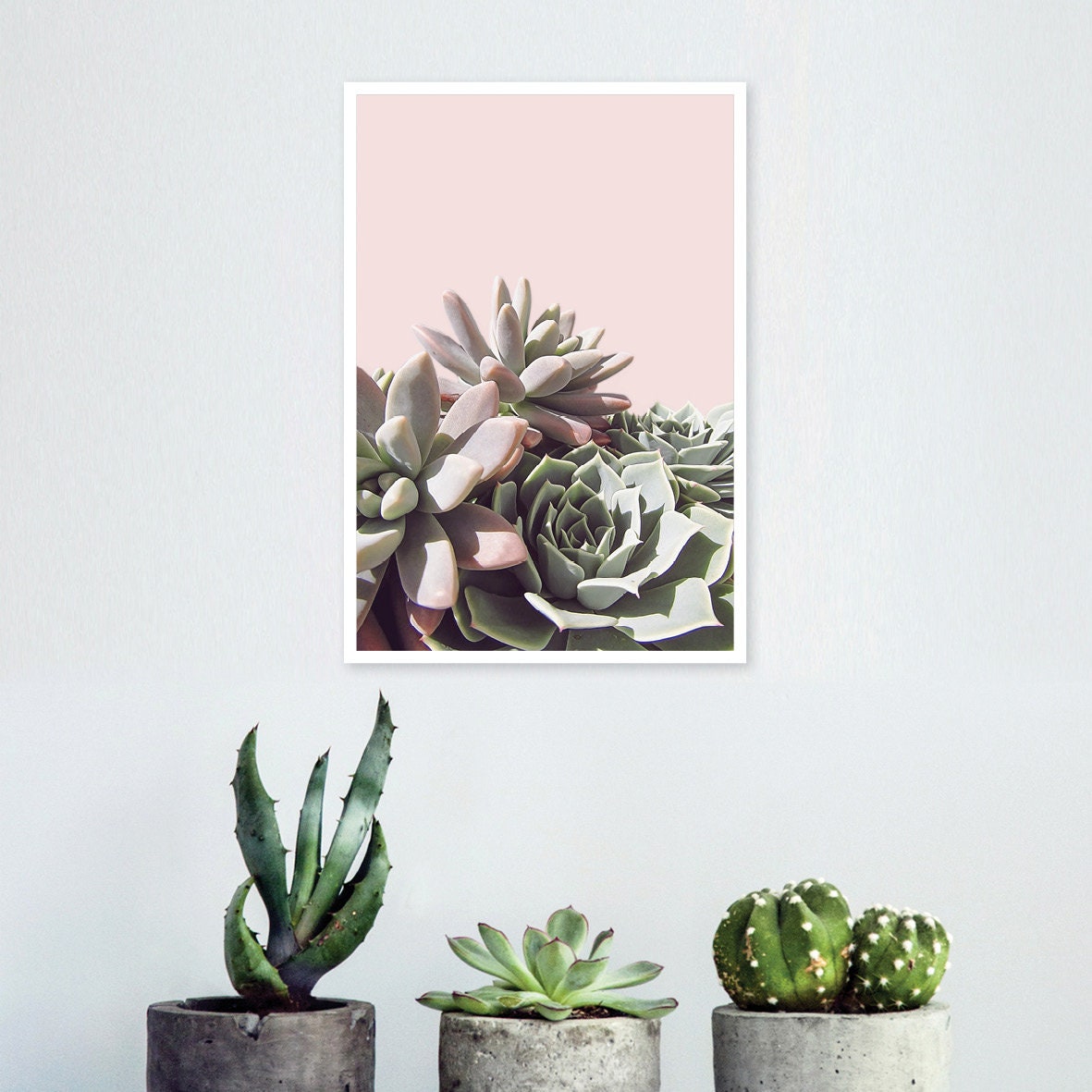Downloadable Photography, Succulent Print, Succulent Photography ...