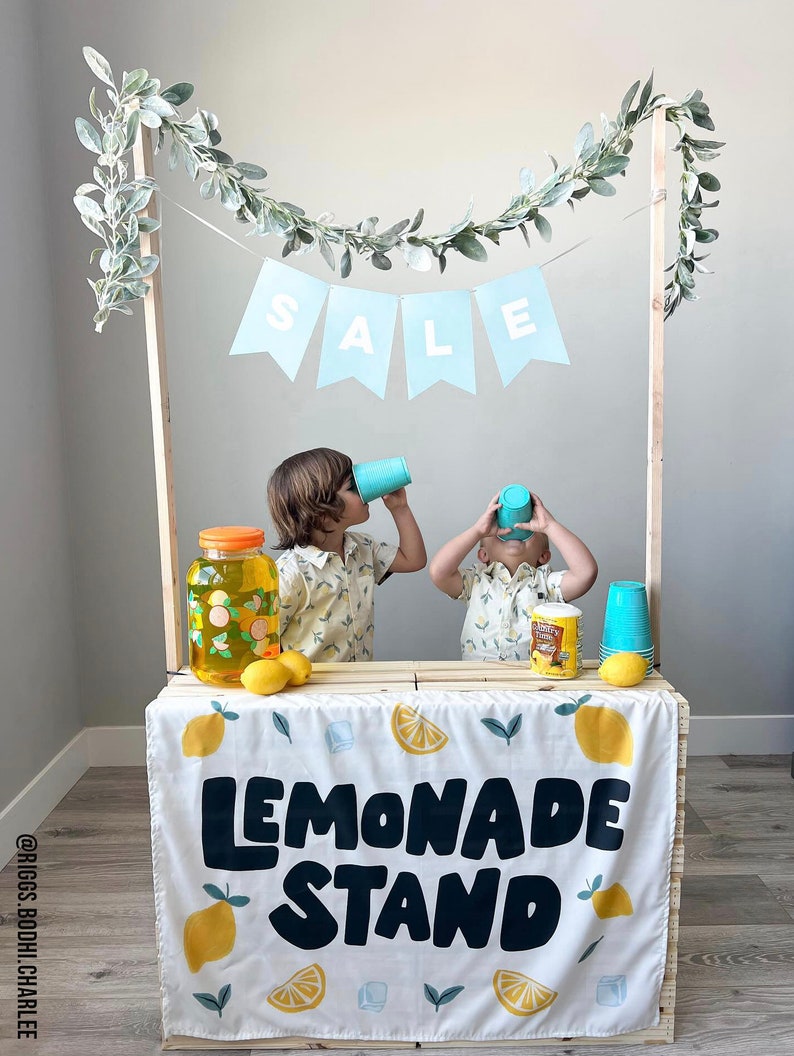Lemonade Stand Banner | Kids Lemon Stand Decor | Summer Party Decor ...