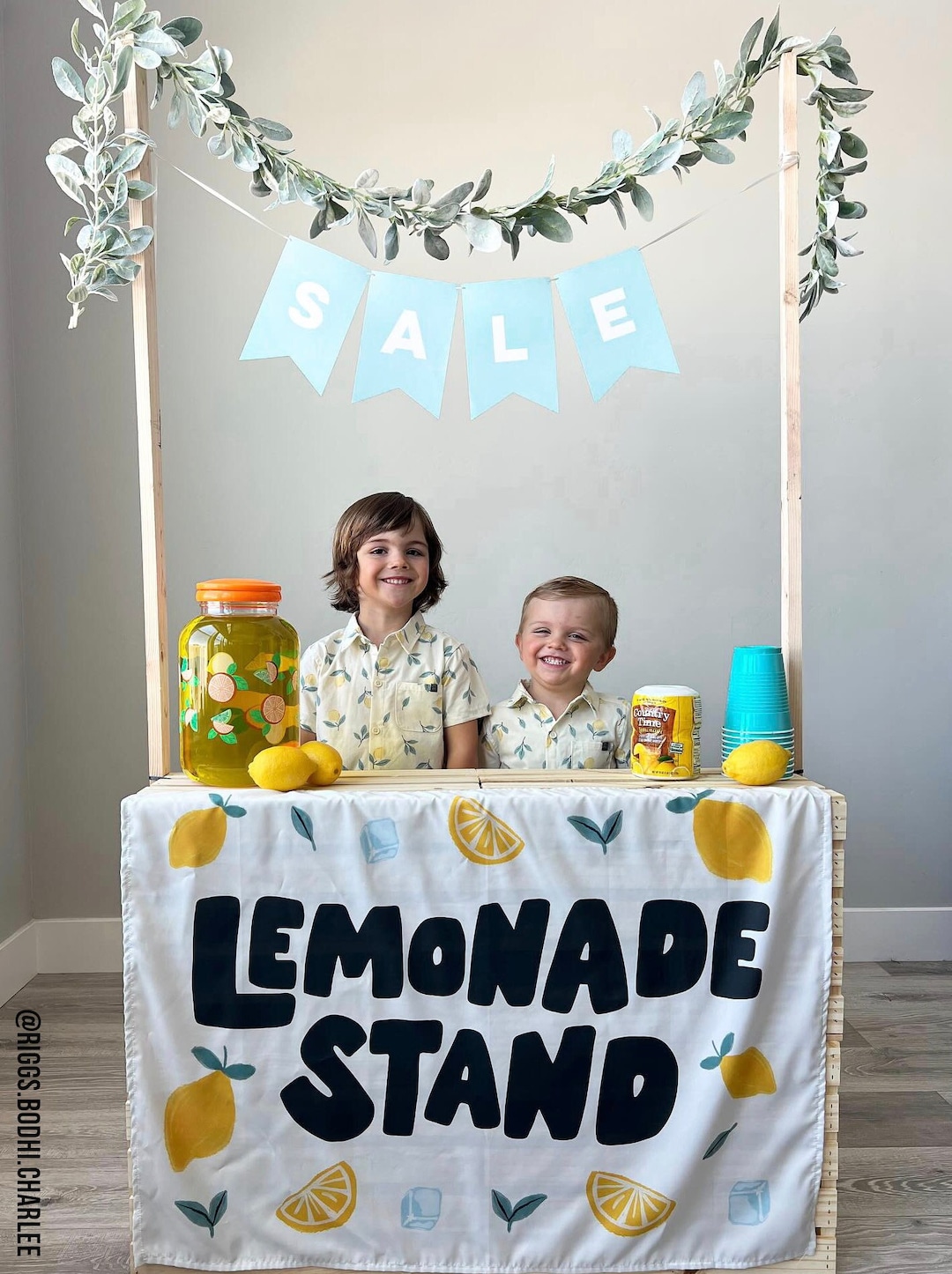 Lemonade Stand Banner | Kids Lemon Stand Decor | Summer Party Decor ...