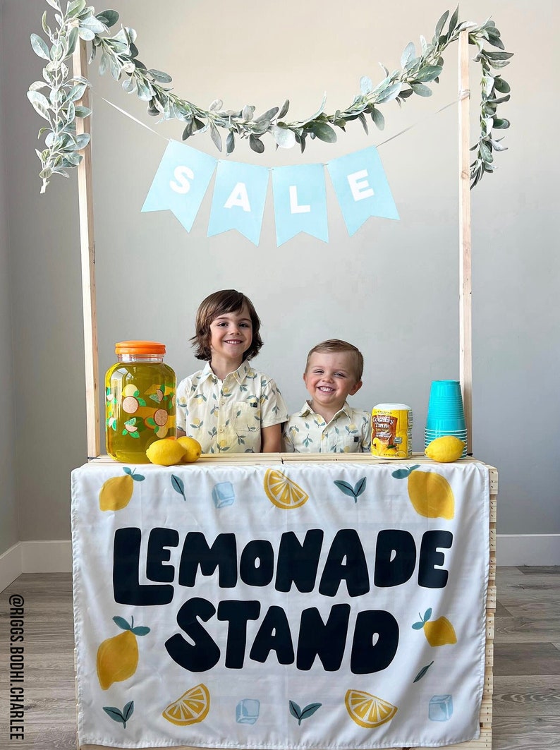 Lemonade Stand Banner | Kids Lemon Stand Decor | Summer Party Decor ...