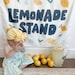 Lemonade Stand Banner | Kids Lemon Stand Decor | Summer Party Decor ...