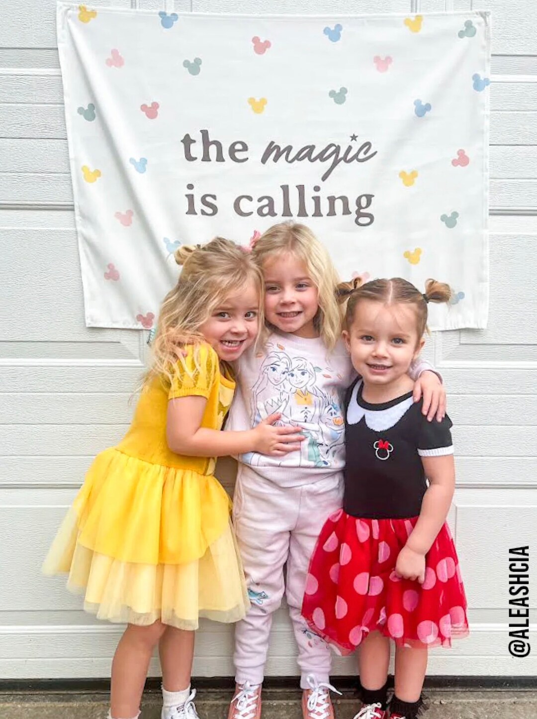 The Magic is Calling Banner Magical Wall Sign Tapestry Mouse Head Party ...