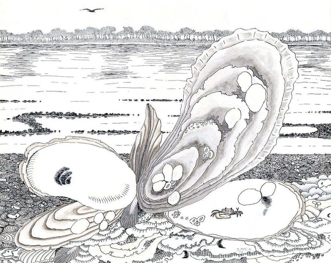 Oystershells by James Mcconnell Anderson of Shearwater Pottery - Etsy