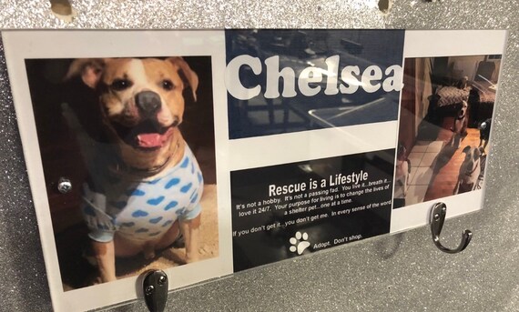 Custom Pet Sign Dog Sign Rescue Animal Decor Dog Decor - Etsy