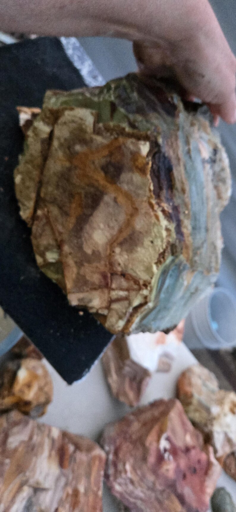 10 Lb Gary Green Lighter Pastel Tones Cabbing, Tumble. - Etsy