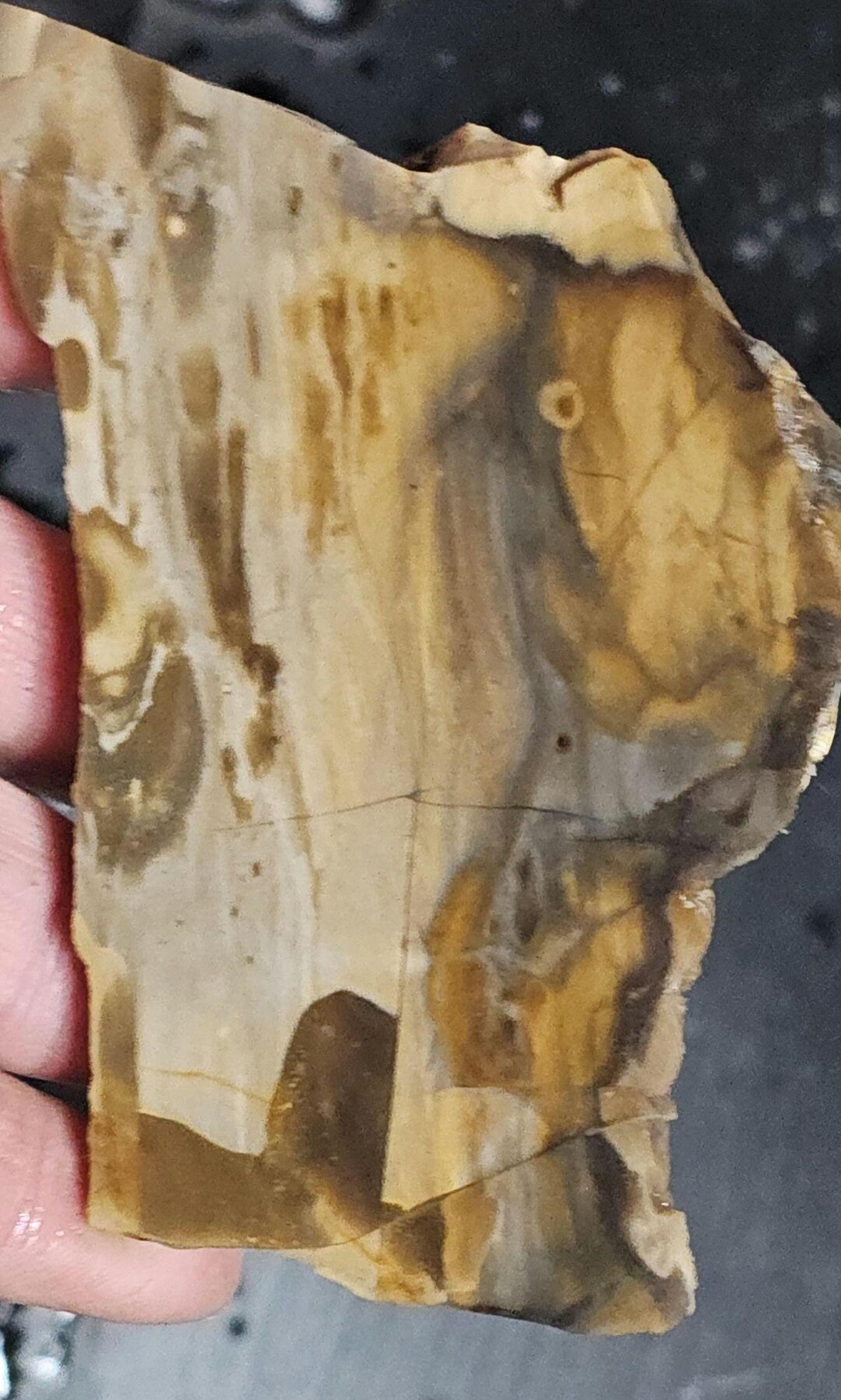 5 Lbs. Porcelain Picture Rock, New Rough From Nevada. - Etsy