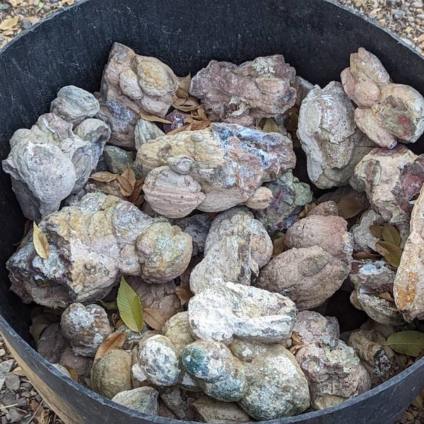 Opal Thundereggs - Etsy