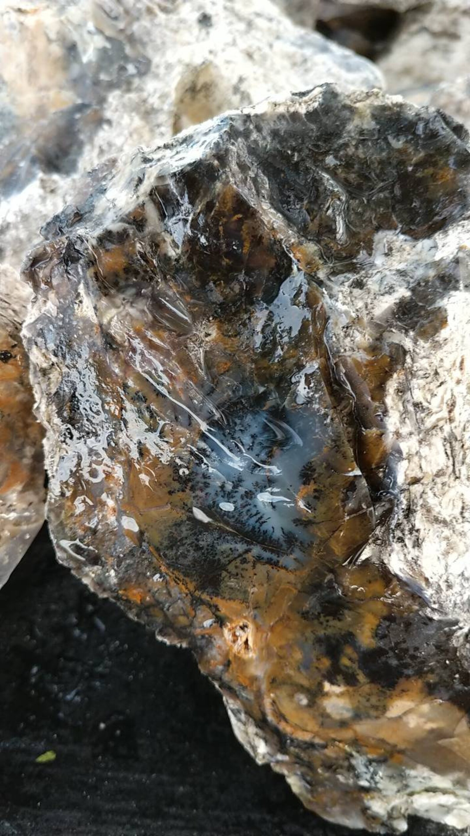 15lb. Amethyst Sage Agate Rough Rock Cutting Stock and Size - Etsy