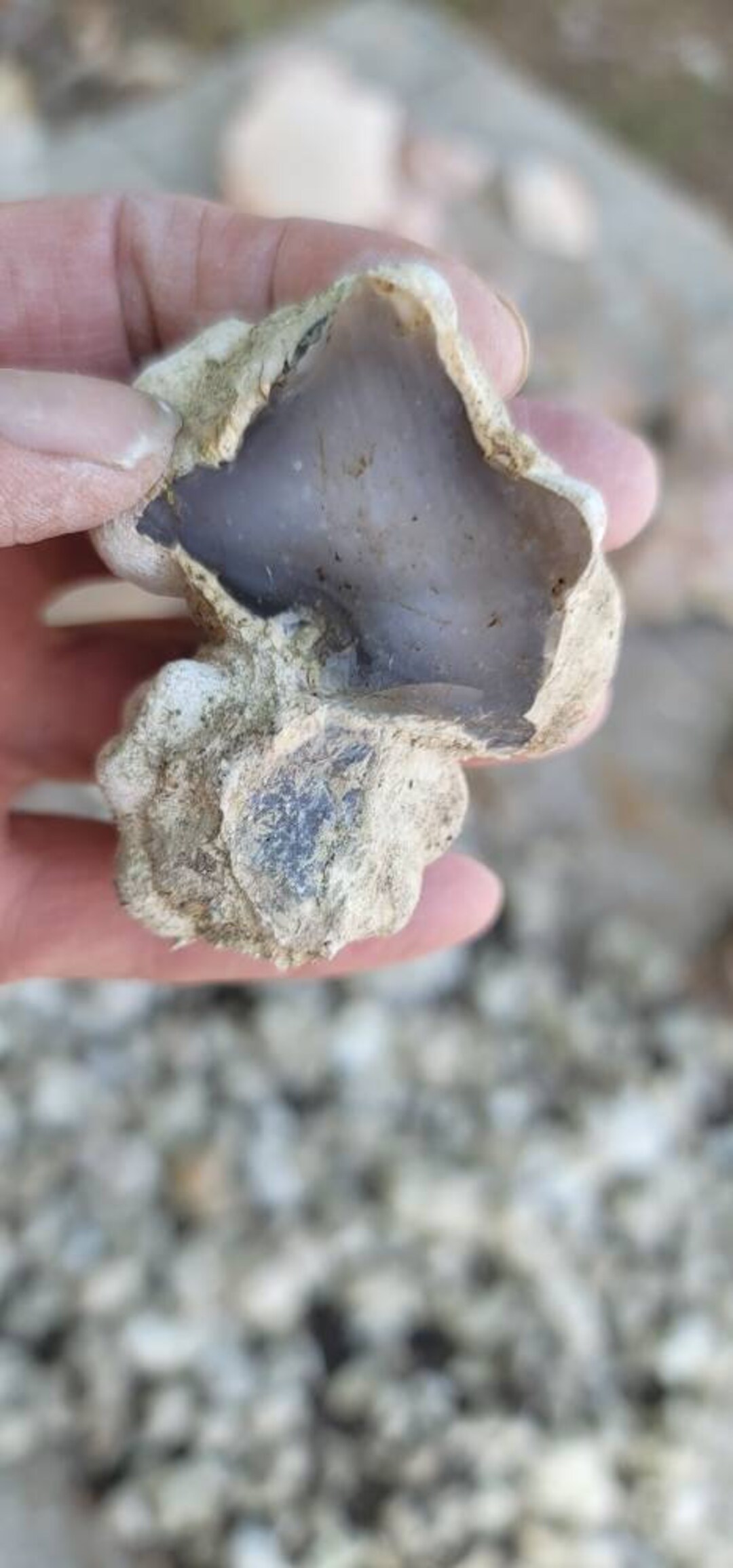 2lb. Raw Rough Snake Skin Agate from Oregon, You tumble. - Etsy Österreich