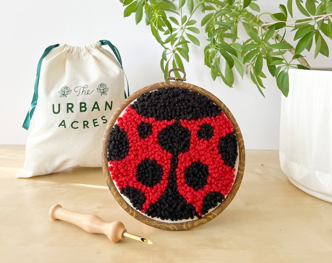 Punch Needle Kit for Beginners Ladybug - Etsy