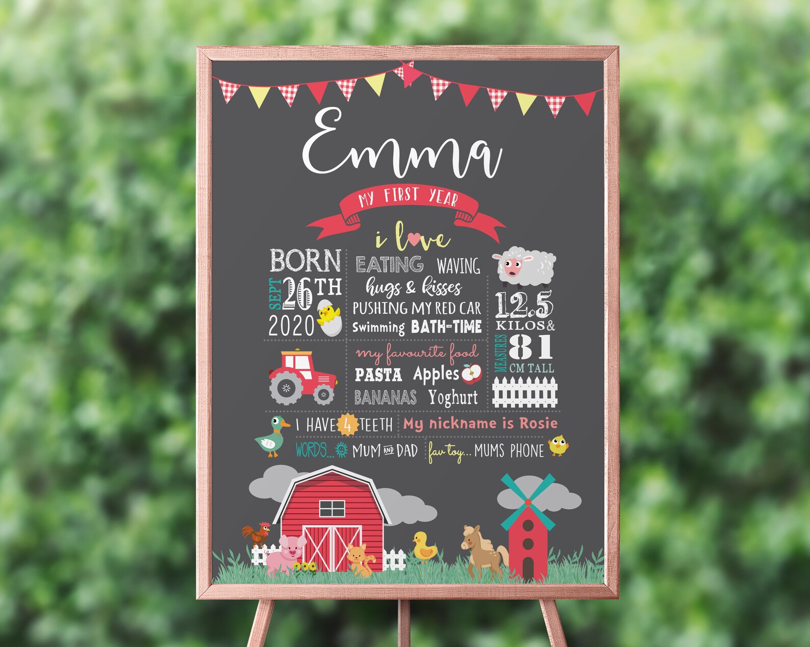 Farm Birthday Sign Milestone Poster. First Birthday. Farm - Etsy
