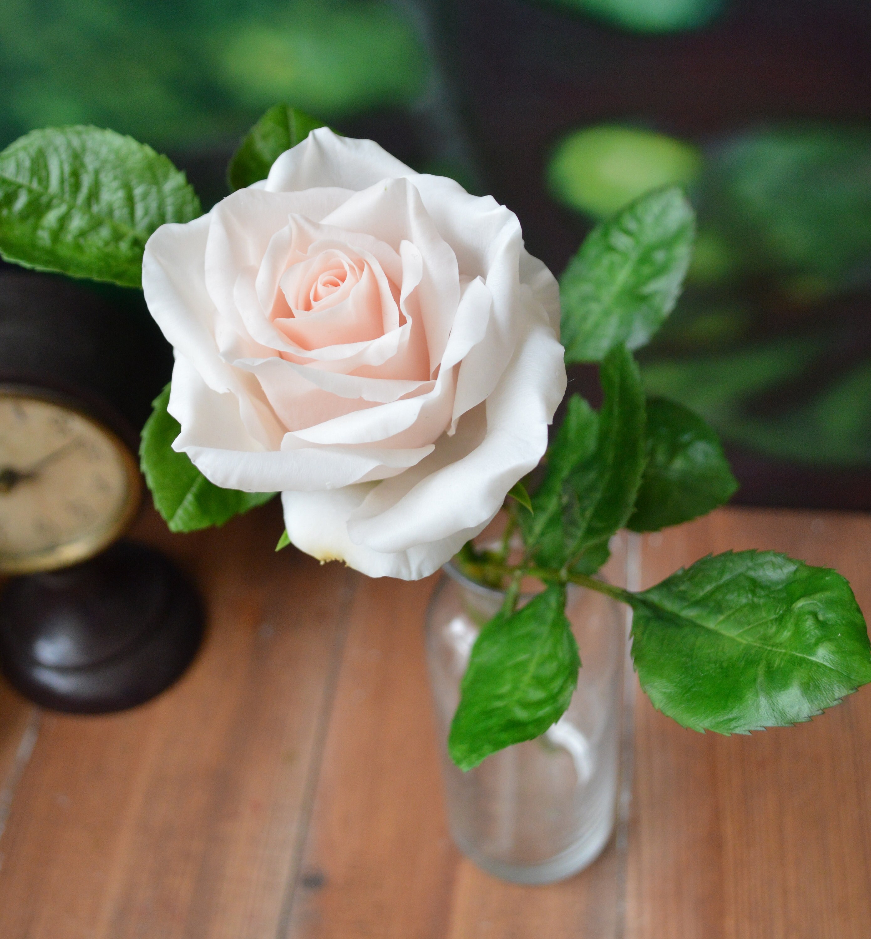 Cold porcelain handmade roses | Etsy