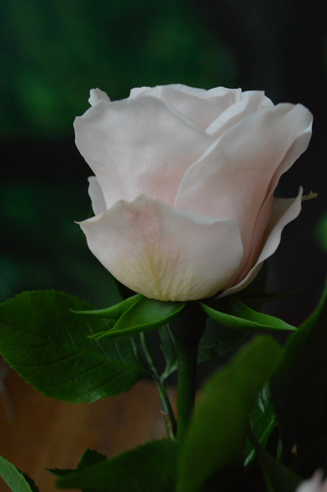 Cold Porcelain Handmade Roses | Etsy