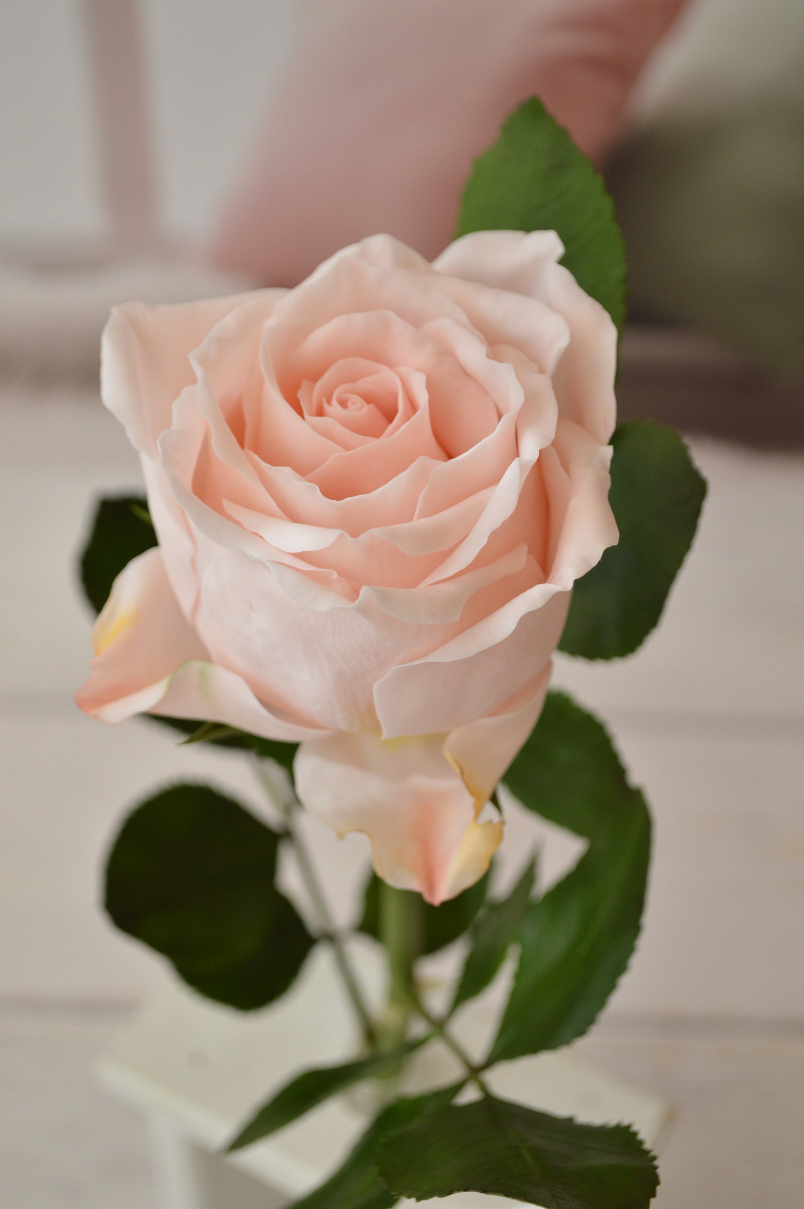 Cold Porcelain Handmade Roses - Etsy