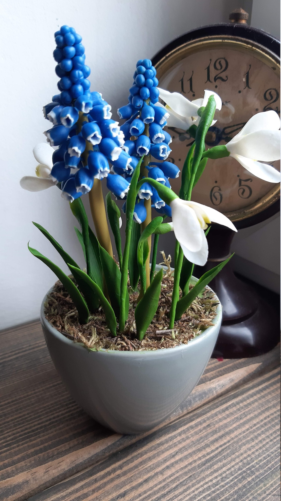 Arrangement of Snowdrops and Muscari Flowers From Cold | Etsy