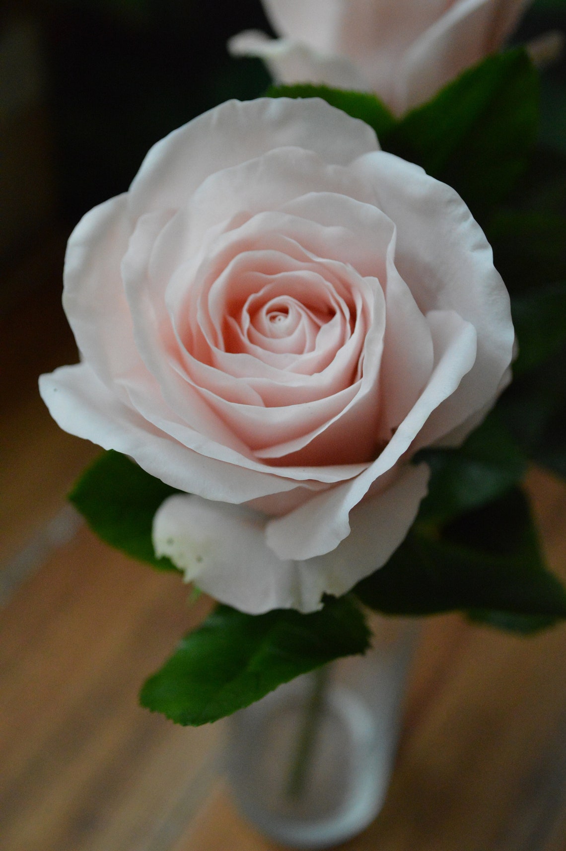 Cold Porcelain Handmade Roses | Etsy