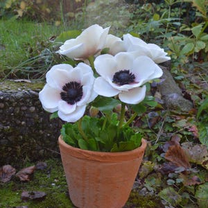 Composition of White Anemones - Etsy