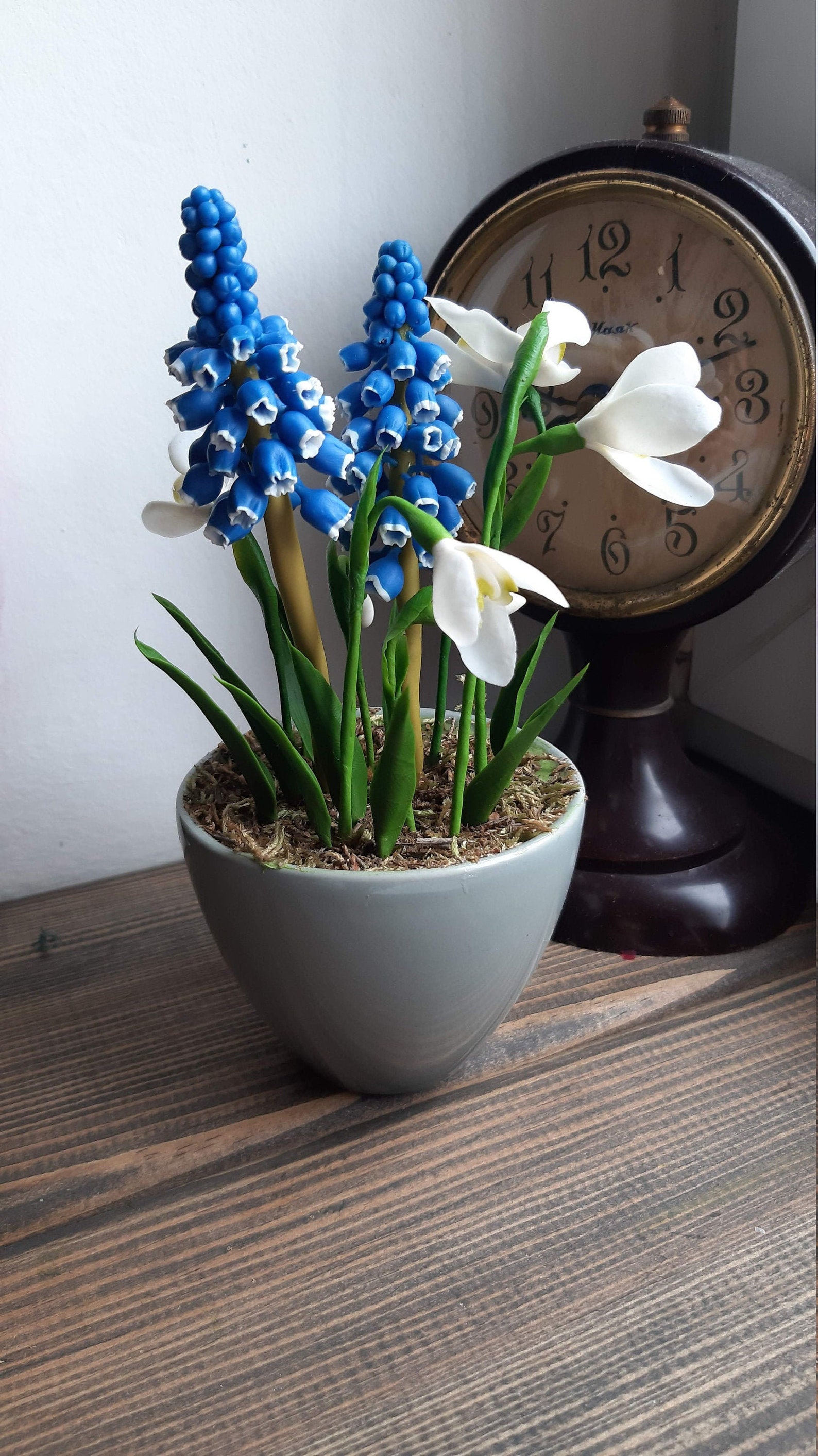 Arrangement of Snowdrops and Muscari Flowers From Cold | Etsy