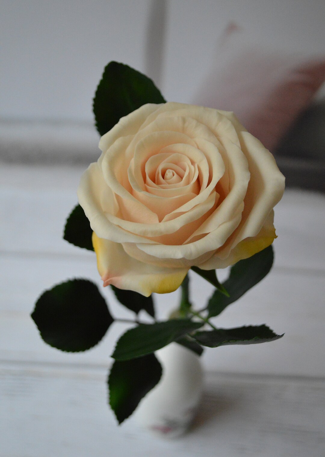 Cold Porcelain Handmade Roses - Etsy