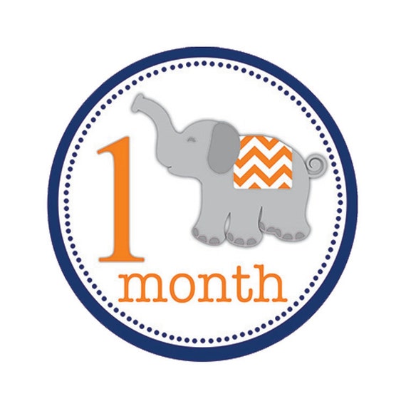Baby Month Stickers First Year Stickers Monthly Milestone | Etsy
