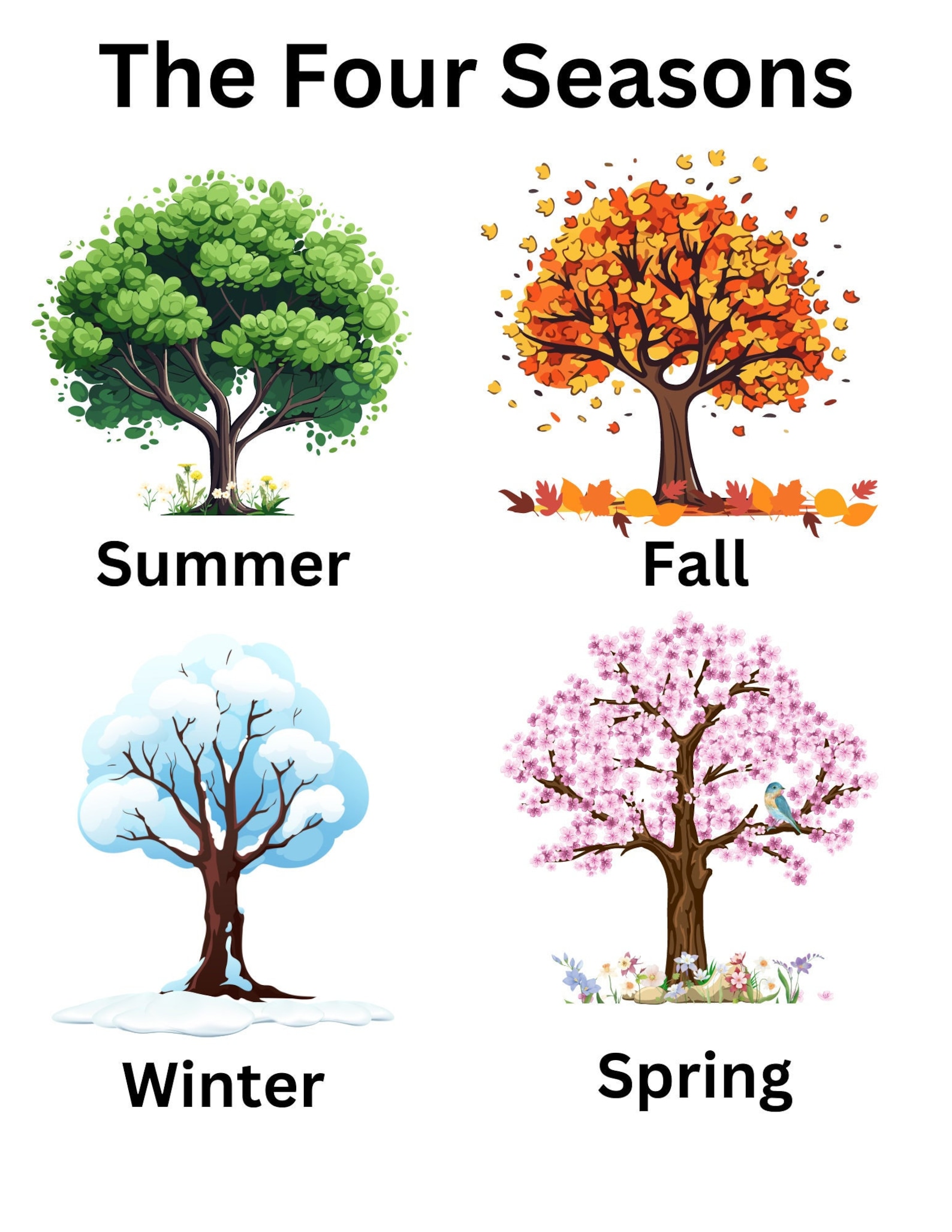 Seasons Poster, Seasons Chart, Educational Print, Season Homeschool ...