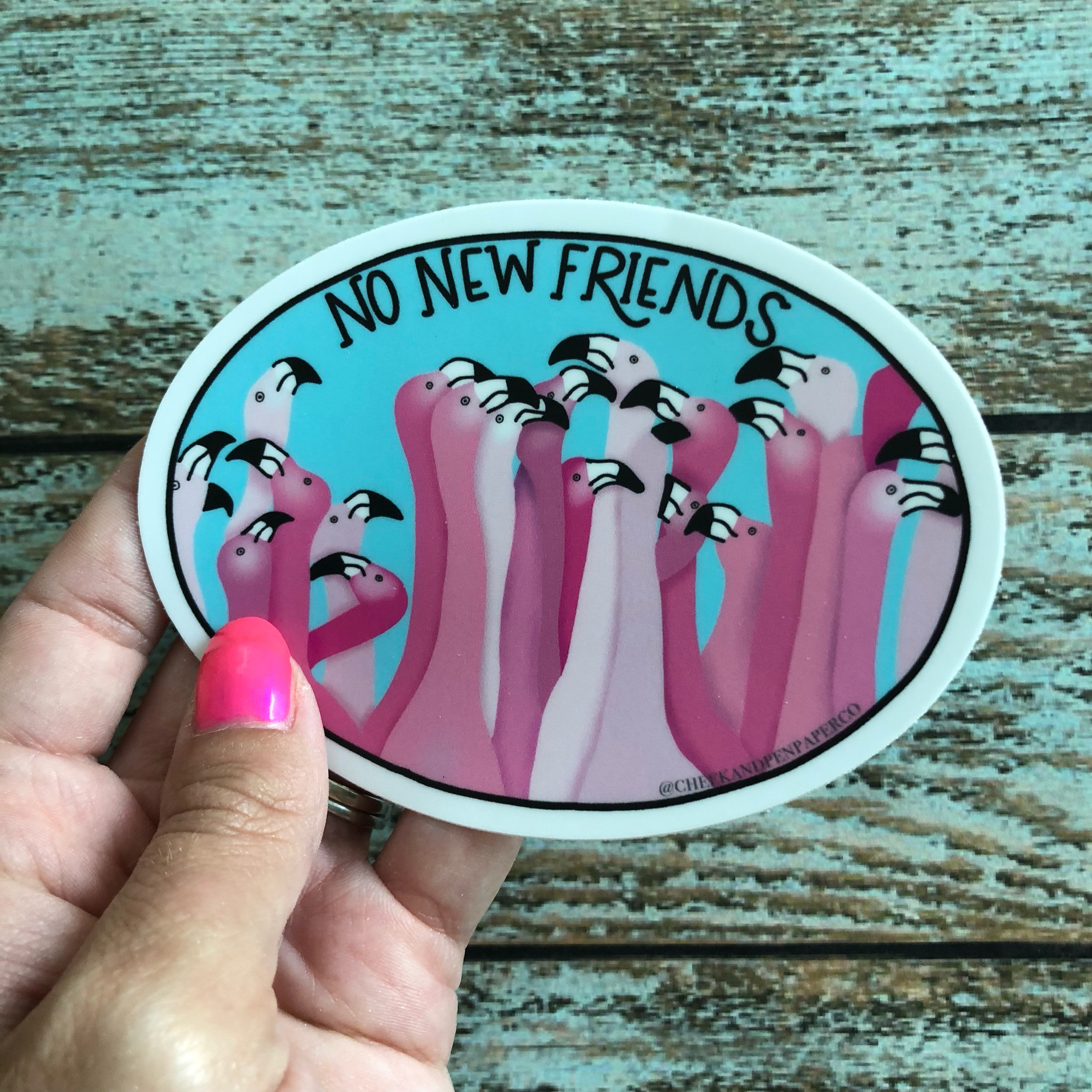 No New Friends Snotty Flamingo Waterbottle Sticker car decal | Etsy