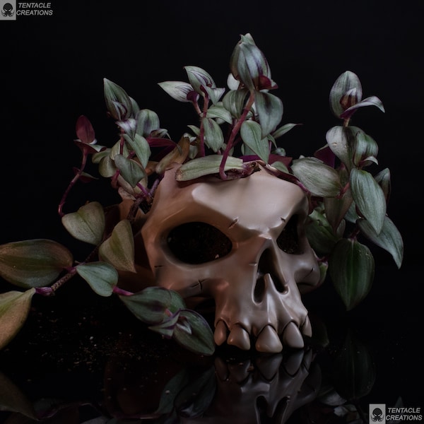 Skull Plant Pot - Etsy UK