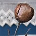 Forged Copper Tulip in Wood Frame Metal Flower Wall Sculpture Elegant ...