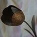 Metal Sculpture Copper Tulip on Stone Base Forged Welded Metal Flower ...