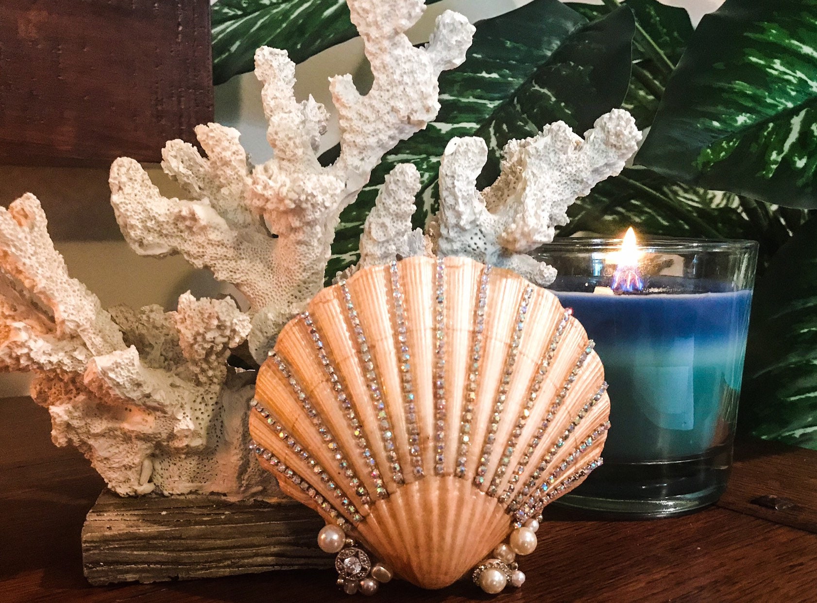 Shimmer Coral Glam Clam Shell - Etsy